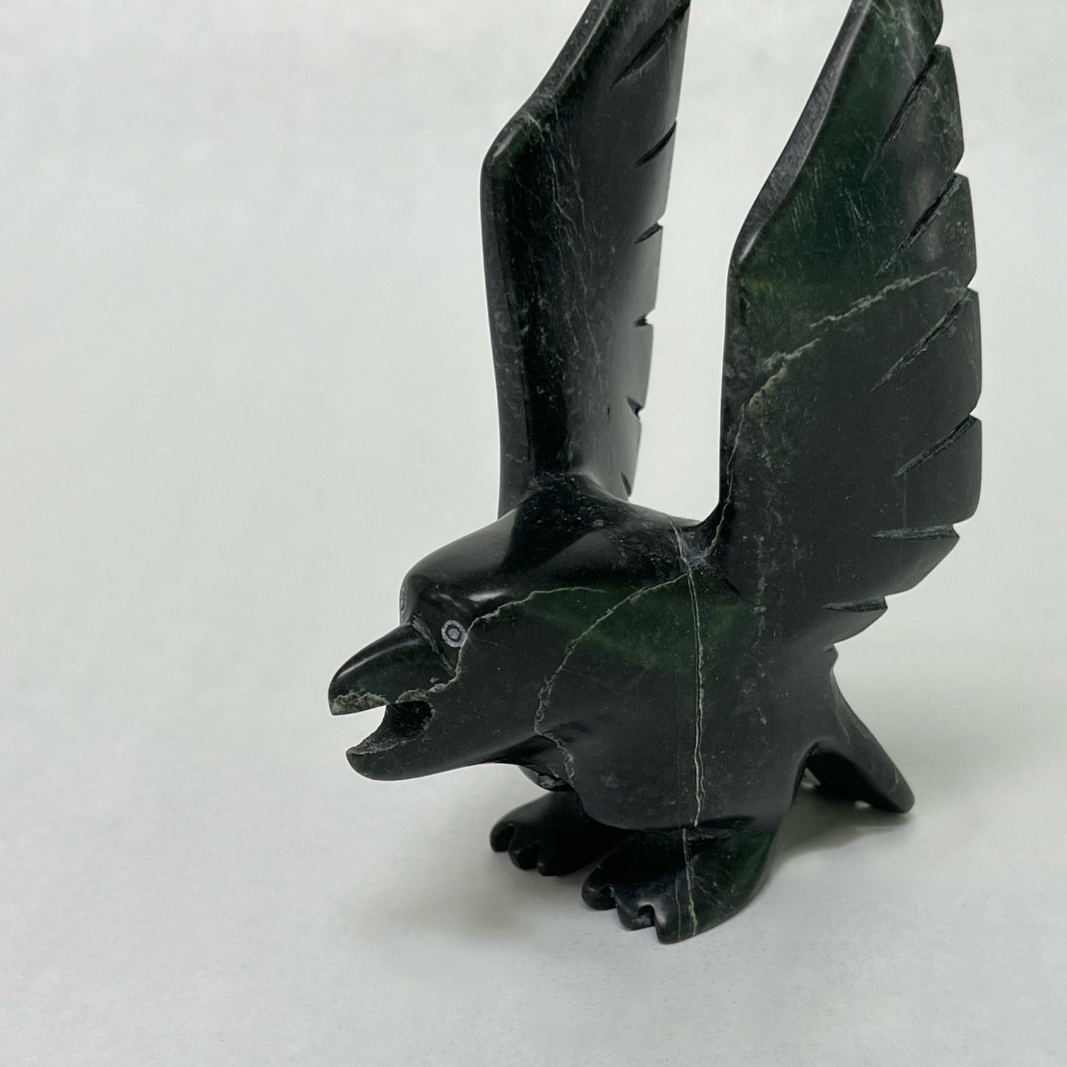 Raven Chick - Parr Parr - 6885N | The Dennos Museum Store, Traverse ...